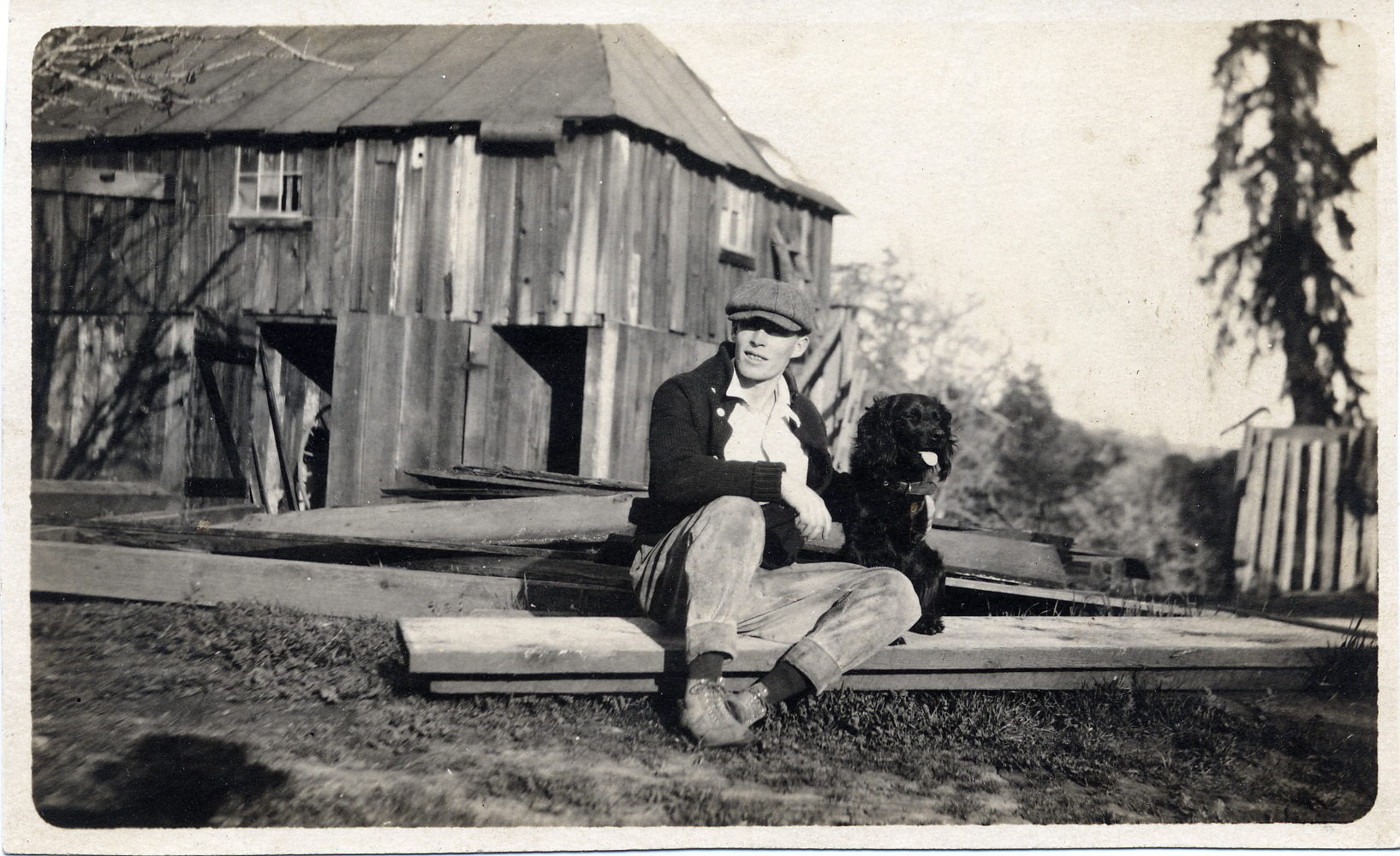 HOWL: The Art & History of Pets | MAH