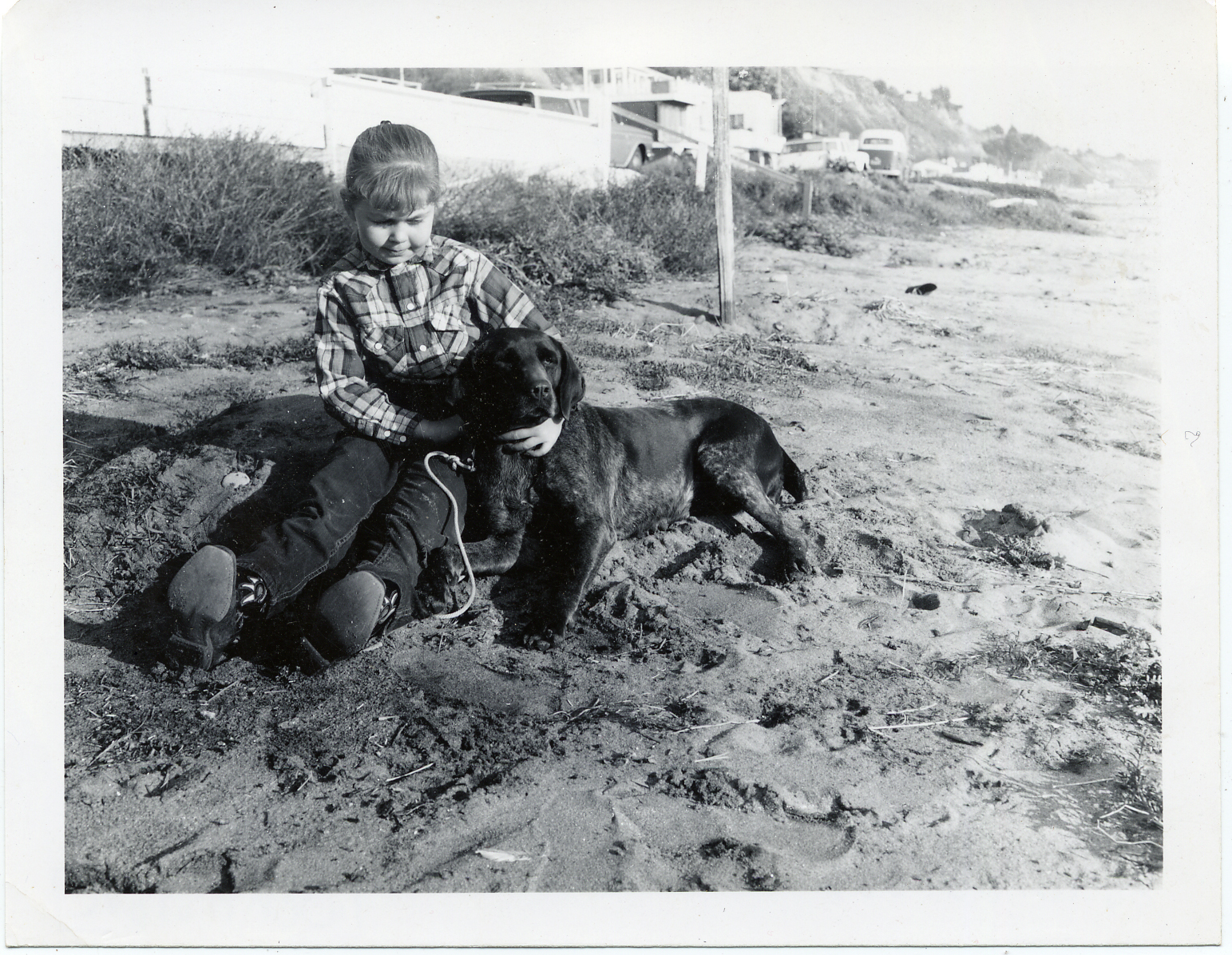 HOWL: The Art & History of Pets | MAH