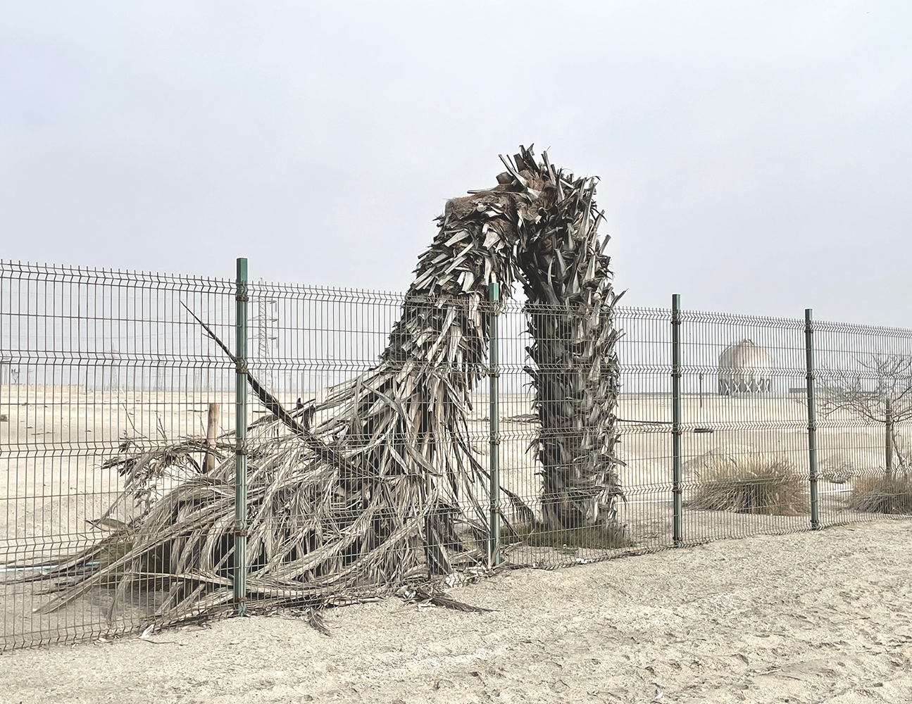 Rydell Visual Arts Fellowship Exhibition | MAH