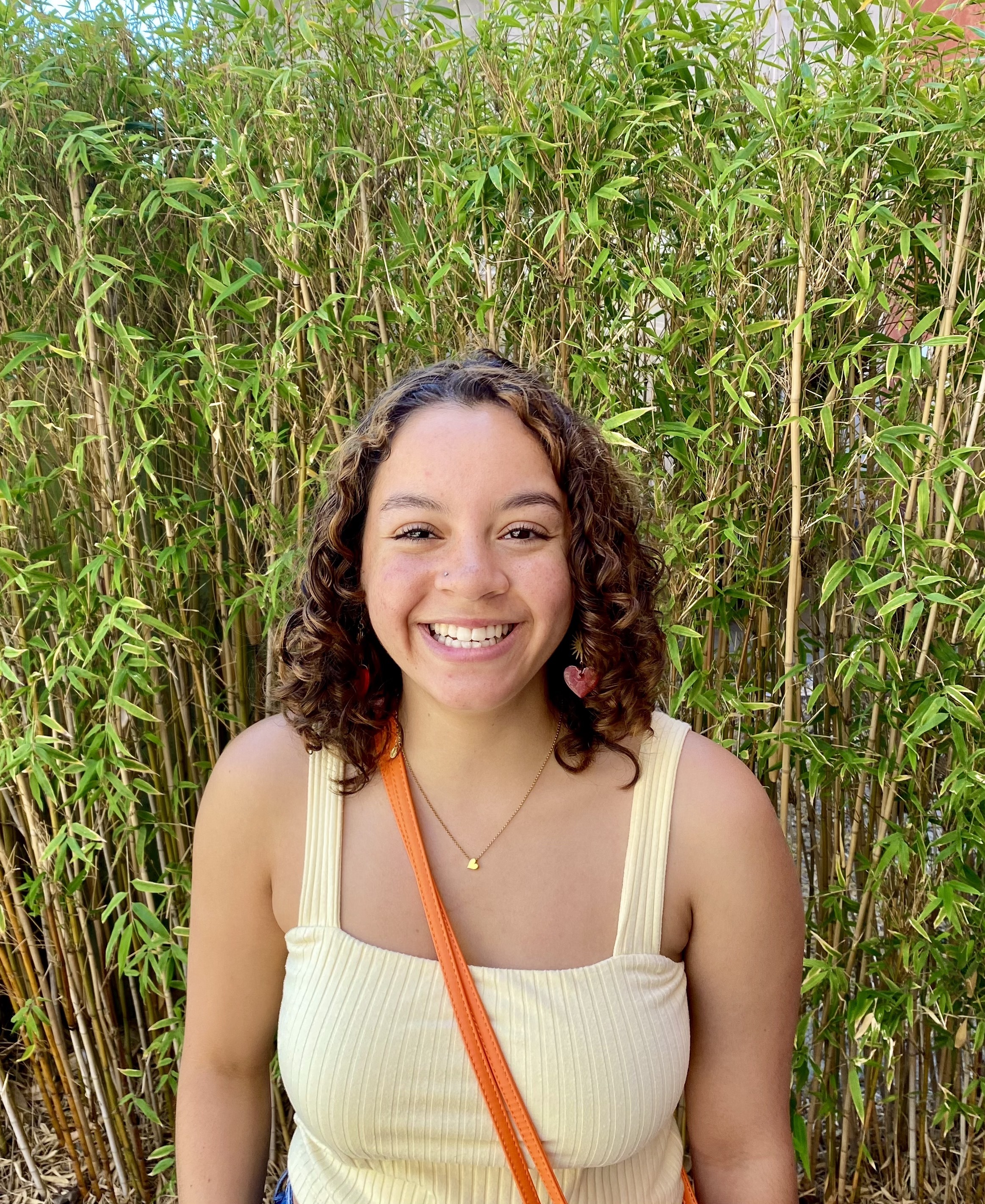 Summer Series: Liberation and Pride for All | MAH