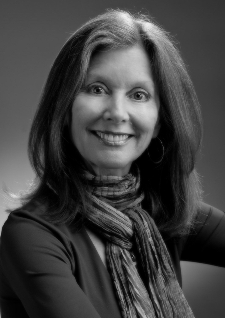 Bay of Life: From Wind to Whales | MAH