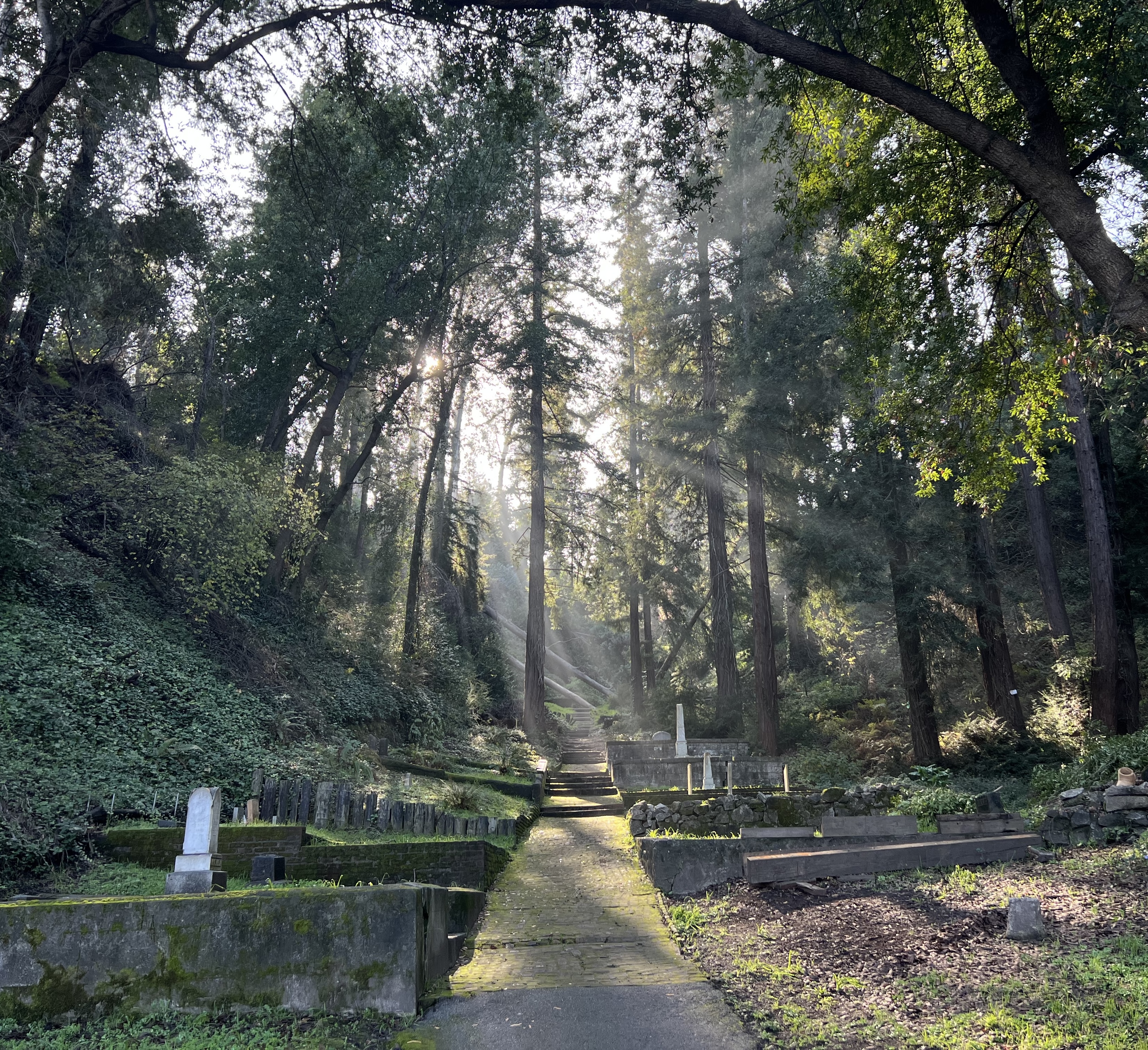 Rite Life – A Writing Group Amongst the Dead | MAH