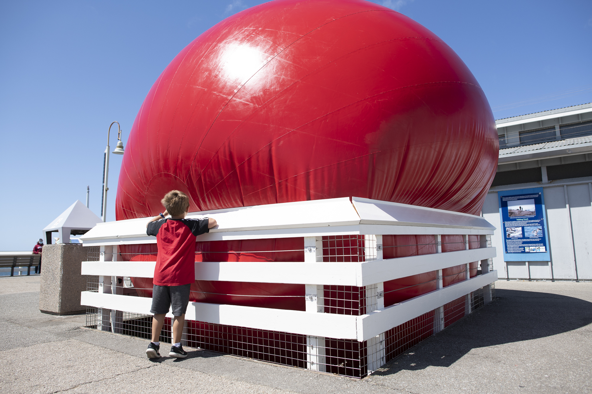 RedBall Santa Cruz | MAH