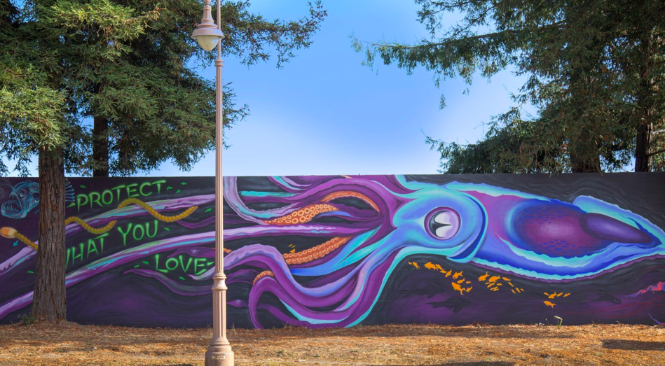 Must-See Santa Cruz County Murals | MAH